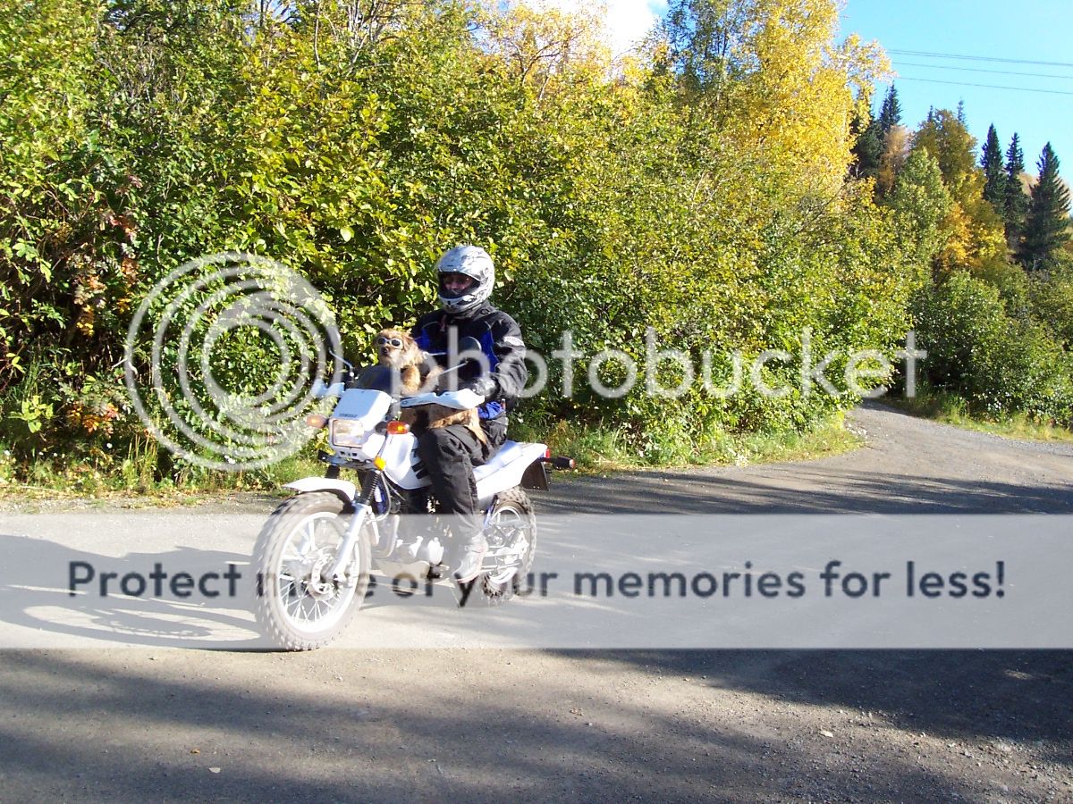 Tall rider pics? | TW200 Forum