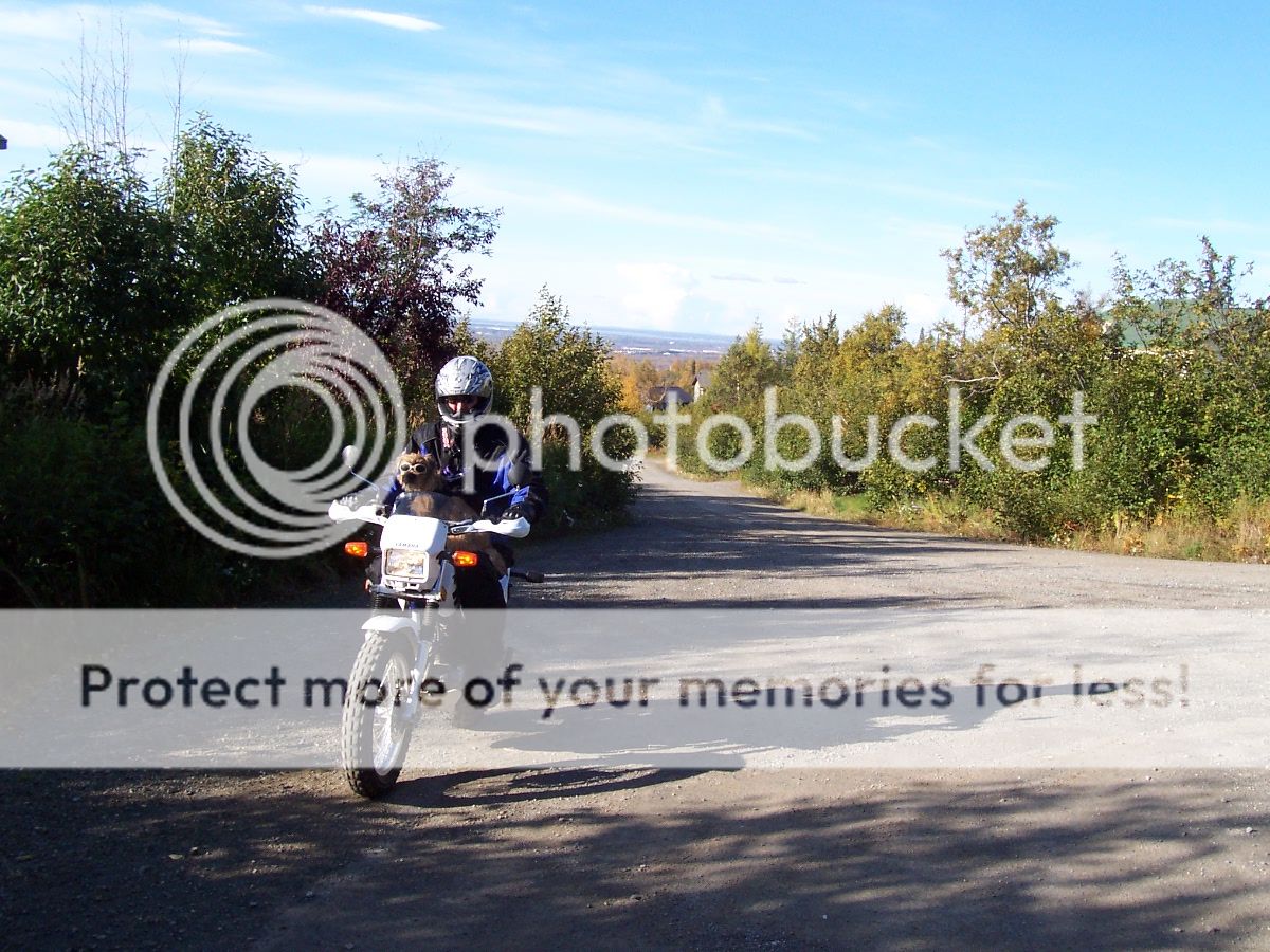 Tall rider pics? | TW200 Forum