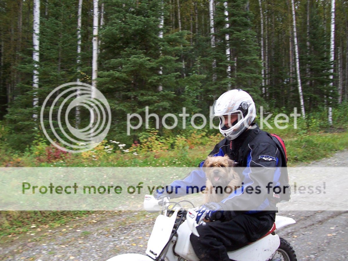 Tall rider pics? | TW200 Forum