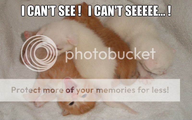 CLOONEYTHON 17 - RECAP & TRACKING NUMBERS ON PAGETH 18 - Page 9 - Mixed ...