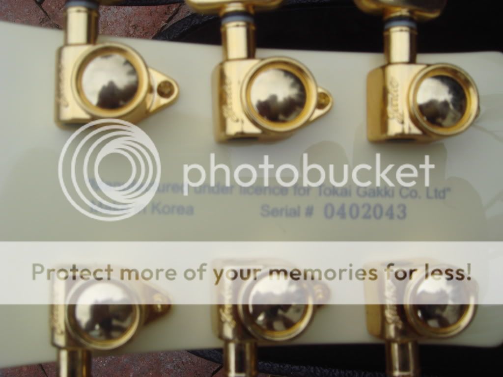 Zakk Wylde Tokai ? from Canada?? Sure look nice.... | Tokai & Japanese ...