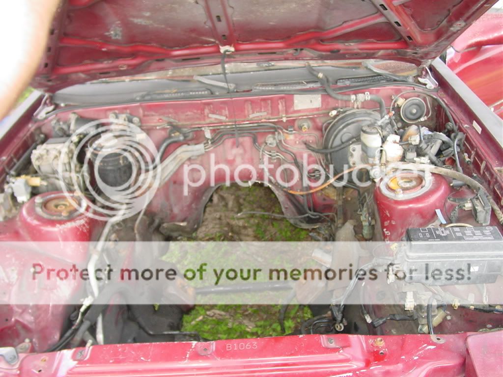 '87 Mk3 build | Supra Forums